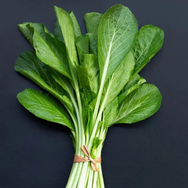 6000 seeds Choy Sum Seeds for Fresh Asian Greens