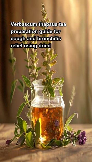 Verbascum thapsus tea preparation guide for cough and bronchitis relief ...