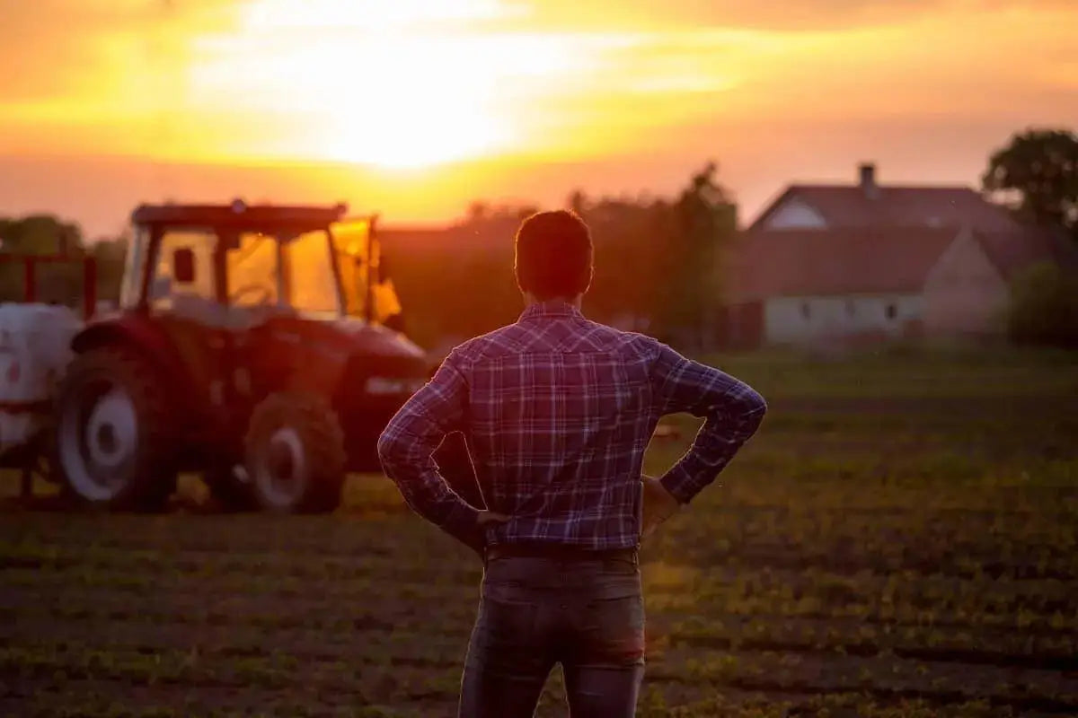Choosing the Right Tractor for Your Homestead