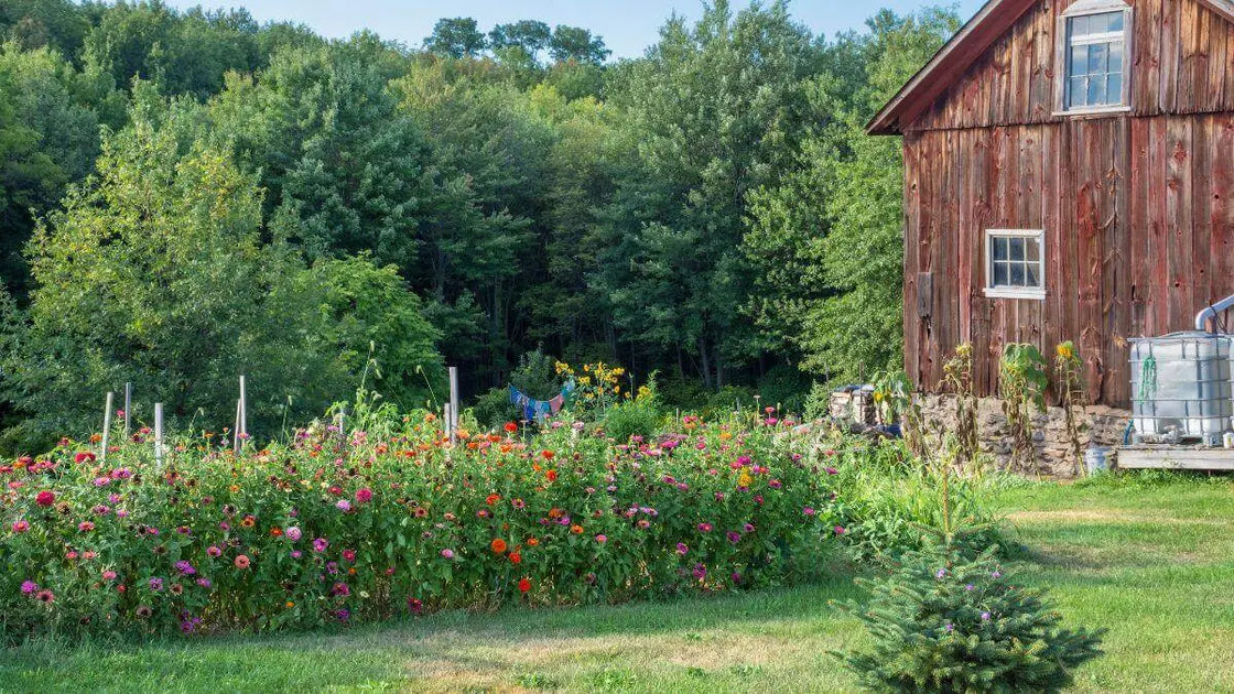 A Comprehensive Guide to Modern Homesteading sustainable living