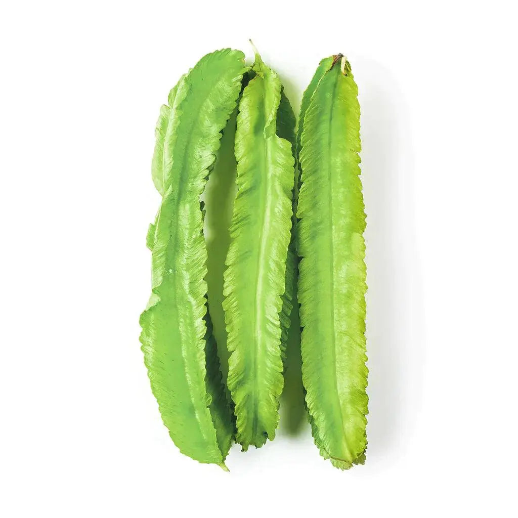 Growing and Enjoying Nutritious Dragon Beans