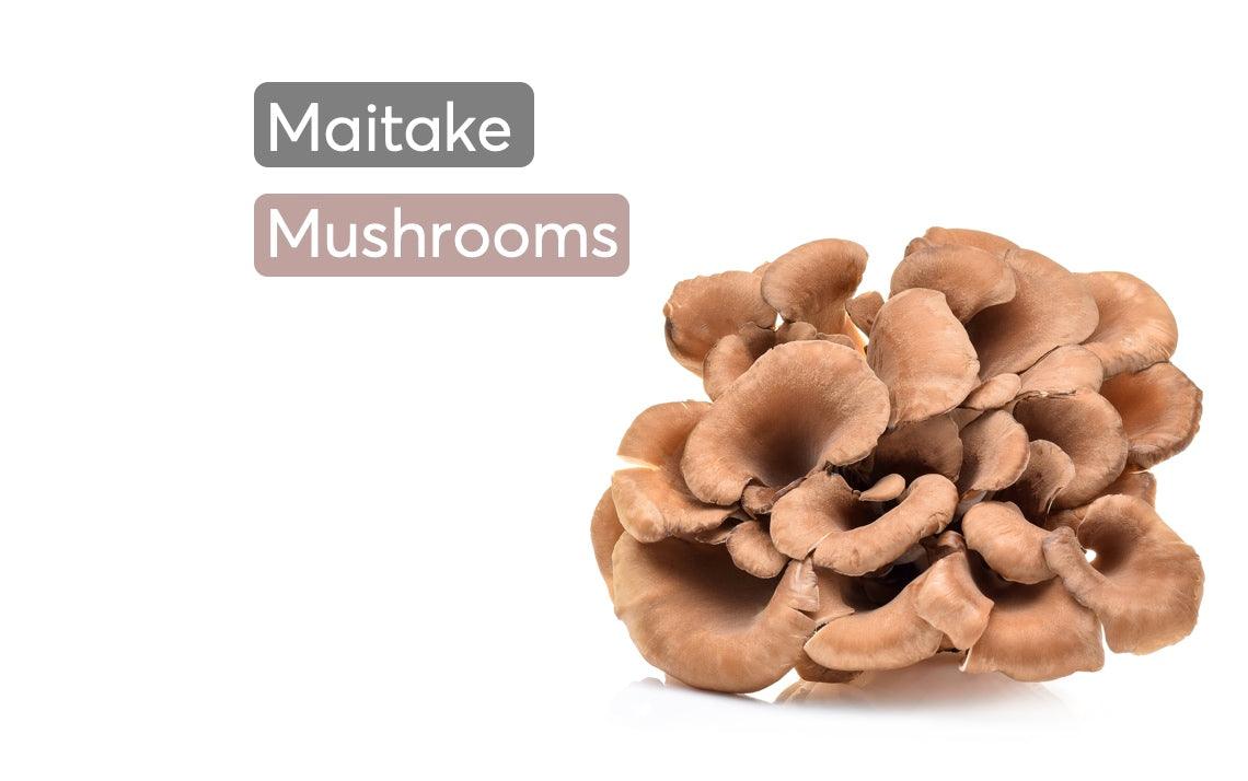 The Health Benefits of Maitake Mushrooms