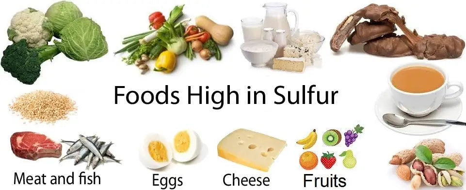Foods High in Sulfur and Their Benefits vegetables Nuts and seeds