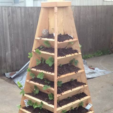How to Build a Strawberry Pyramid Planter: A Complete Guide for Gardeners