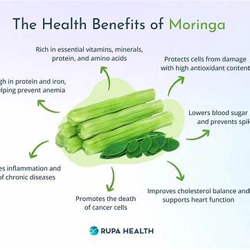Moringa Miracle Tree: Top 10 Health Benefits & Uses in 2025