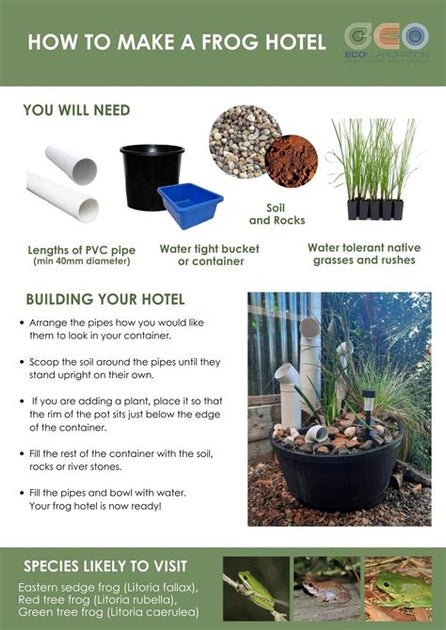 Build a Frog Hotel in Your Garden — 2025 Step-by-Step Guide