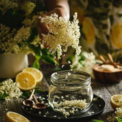 What Does Elderflower Tea Taste Like? A Fragrant Sip of Floral Delight