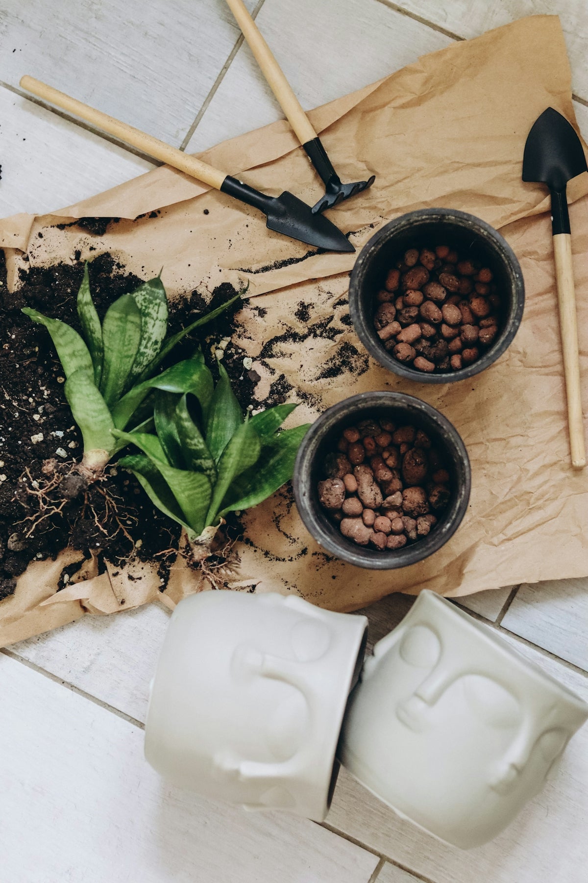 Kikuna Gardens Unlocked: A Guide to Growing and Enjoying Edible ...