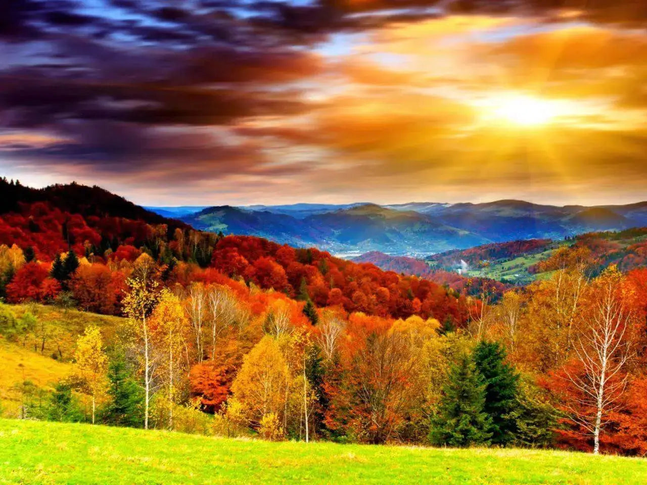 Principles of Human Life Discipline