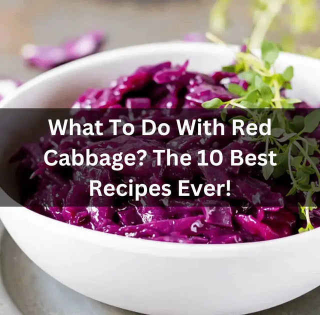 What to do with red cabbage? The 10 best recipes ever!