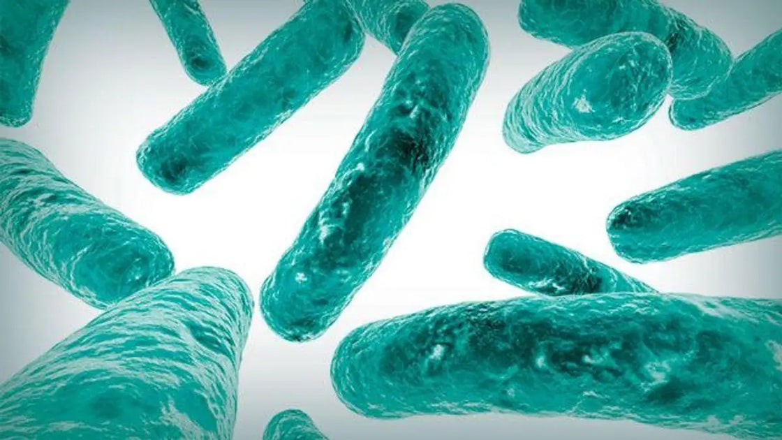 Microbial Protein: More Sustainable Vegan Protein or All Hype?