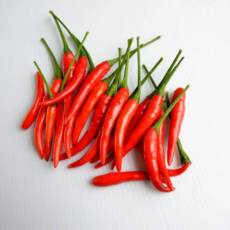 300 Seeds African Devil Bird’s Eye Chili Plant 300 Seeds