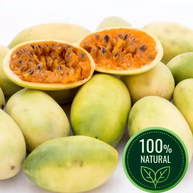 3 pack x 60 seeds Giant Granadilla Seeds Badea fruit passionfruit Plant ...