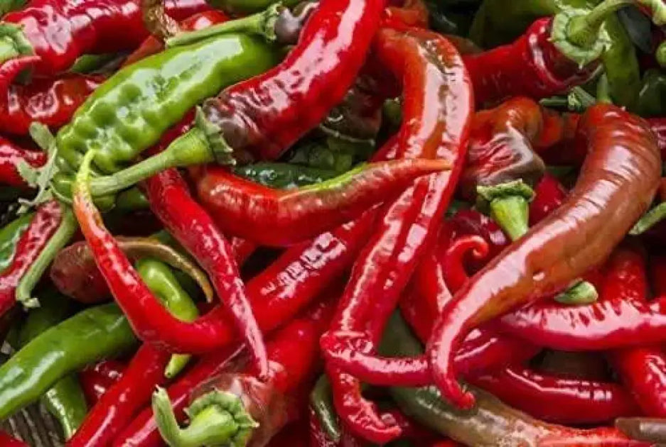 2 pack x 1200 Cowhorn Pepper Seeds Hot Chili Cow Horn Pepper Seeds for ...