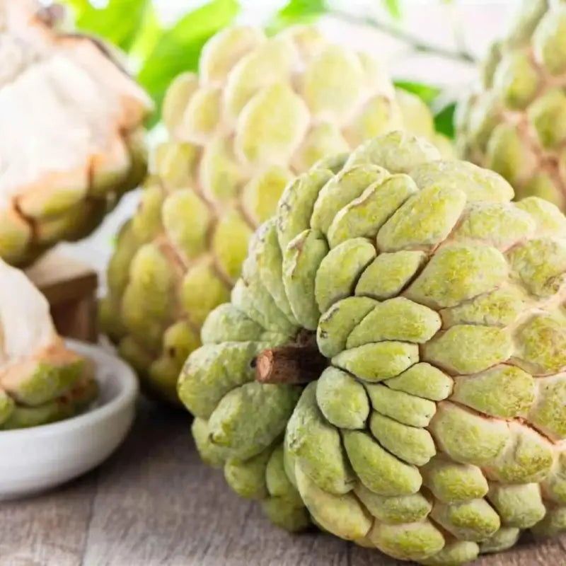 Sugar Apple Fruit Tree Seeds - Grow Your Own Delicious Custard Apples ...