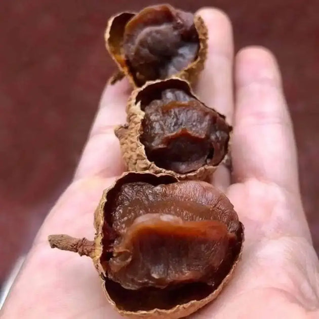 Dried Litchi Trai Vai Kho Dry Lychee /Litchi Nut /Lichee/ Litchi Fruit ...