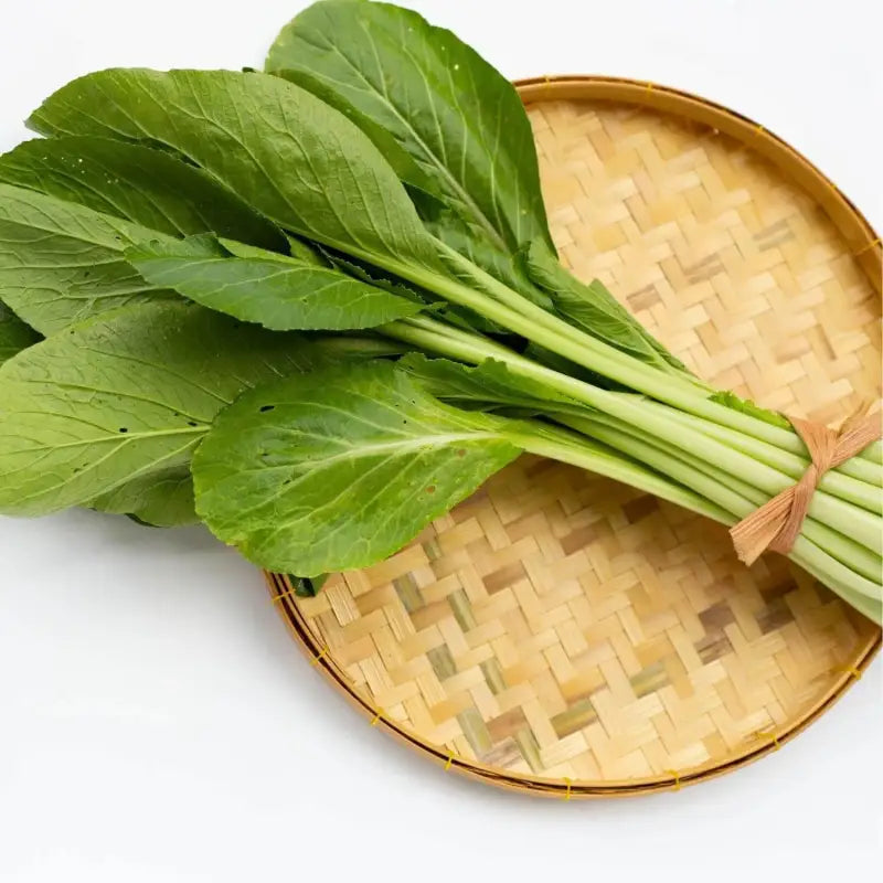 6000 seeds Choy Sum Seeds for Fresh Asian Greens