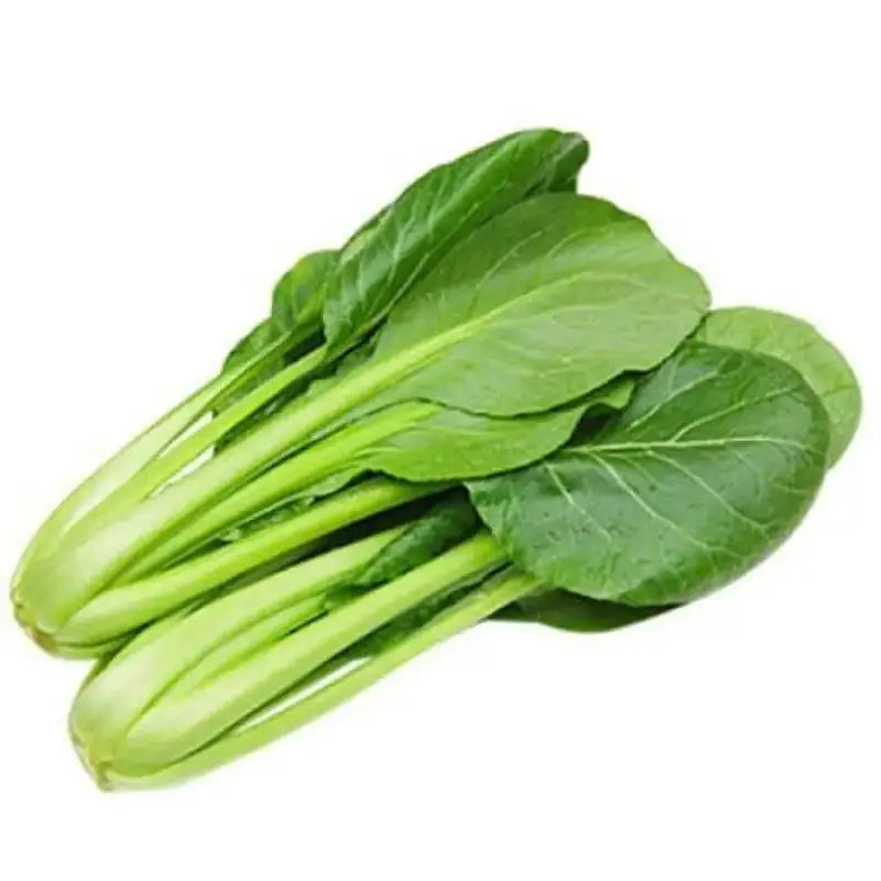 2 pack x 3000 seeds Choy Sum Seeds Brassica Integrifolia Gunsho Asian ...